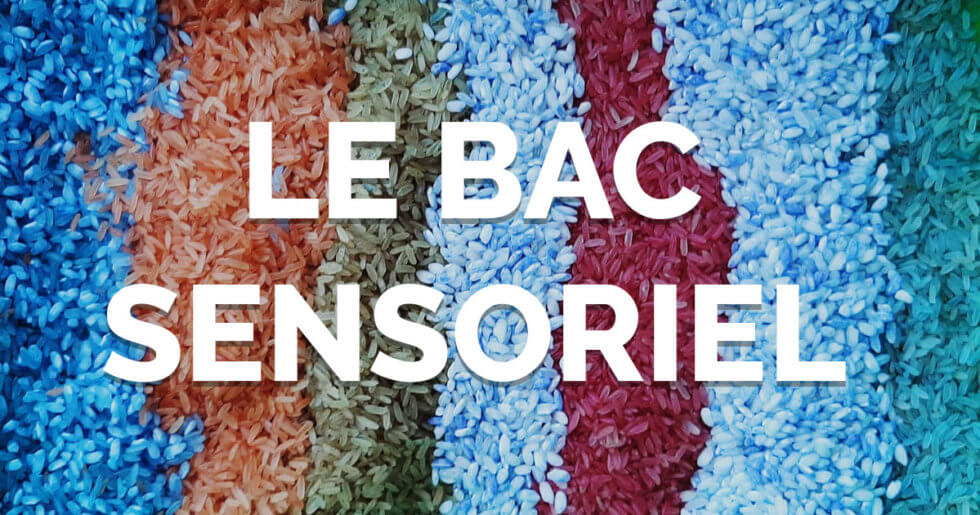 Voilà une idée d'activité pour les enfants : Le bac sensorielle